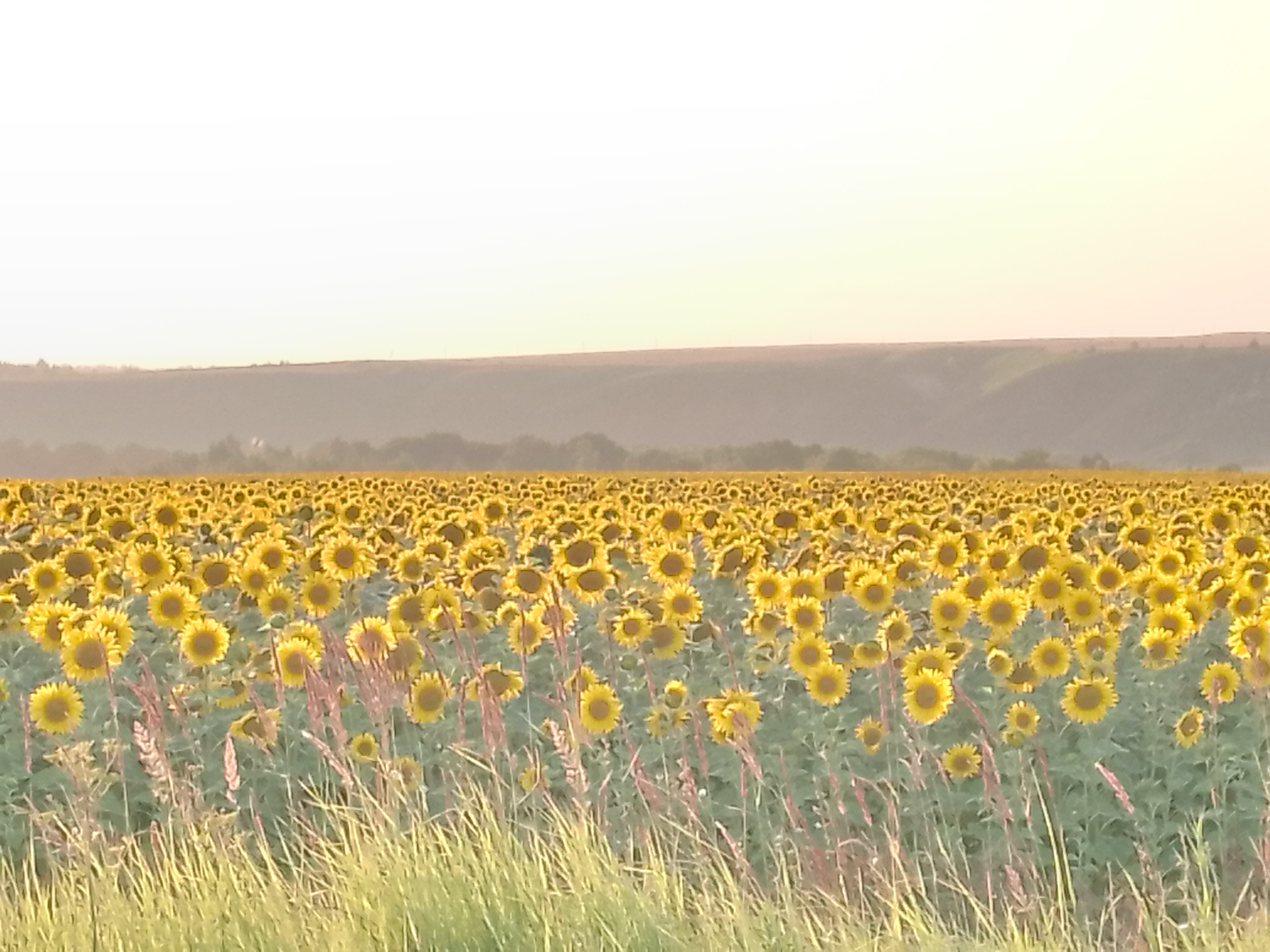 Что будет если запустить unity crash handler 64 (я боюсь его запускать ...